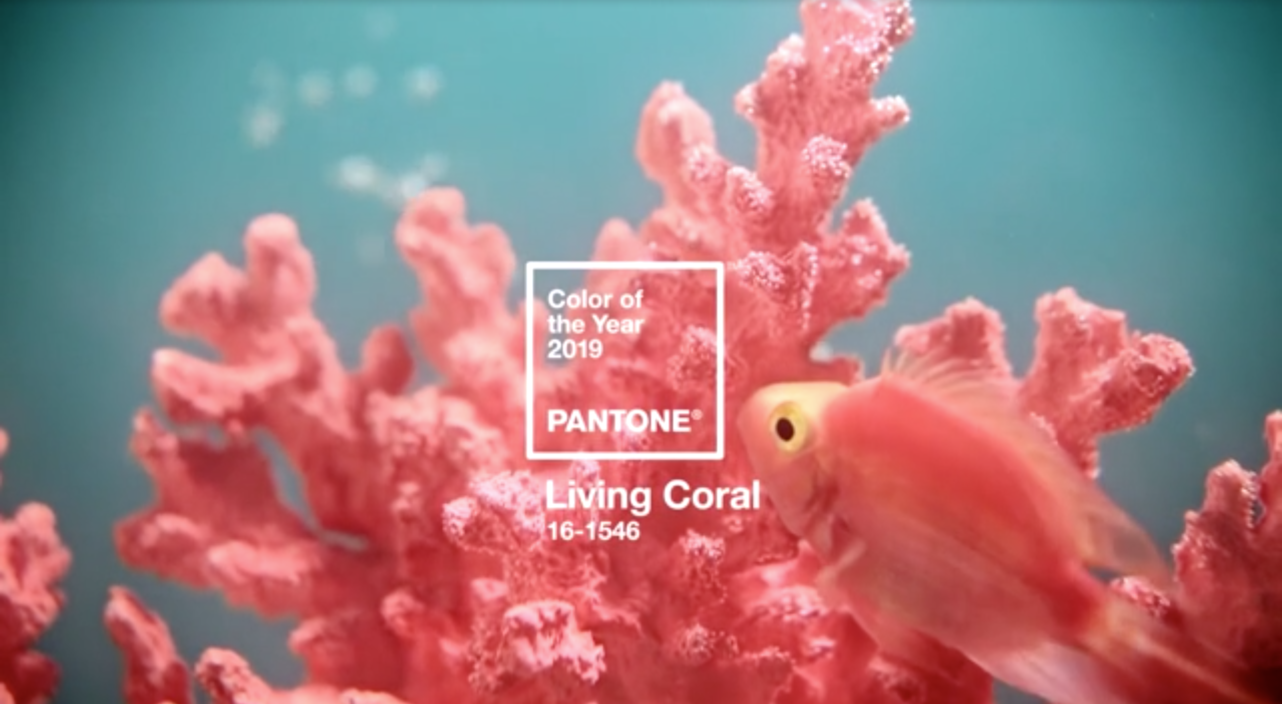 Pantone Color of the Year – 16-1546 Living Coral – theColourSpace